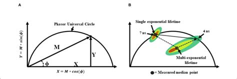 A A Graphical Representation Of A Phasor Graph Raw Data Is