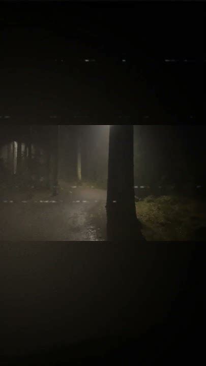 🌿 Ohio Grassman 🌿 Ohio Cryptid Candle Collection Shorts Youtube