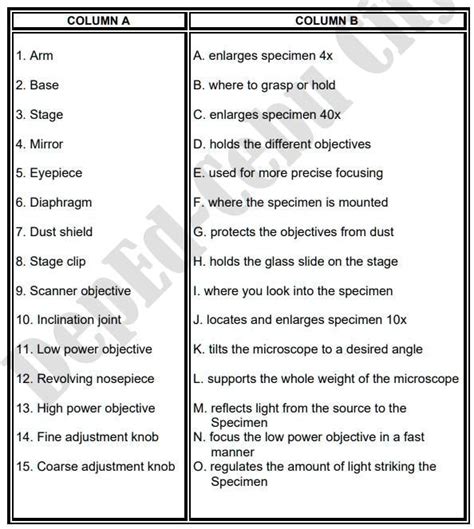 Solved Match The Parts Of The Compound Microscope In Column A With
