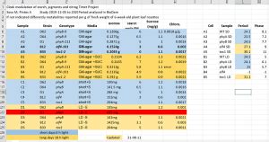 Unveiling The Power Of Excel Metadata Organize Analyze And Excel Enjoytechlife