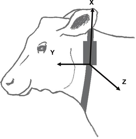 Position Of The 3 Dimensional Accelerometer And Illustration Of X Y Download Scientific