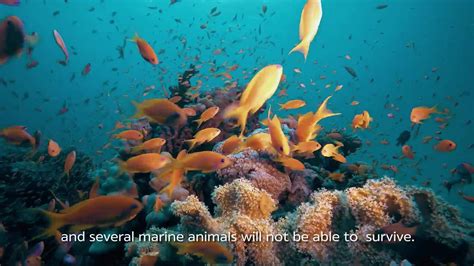 Redesign Sustainable Forestry ตัดไม้ แต่ได้ป่า แบบสวีเดนโมเดล Redesign Sustainable Forestry