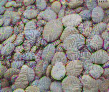Lsd  Lsd Discover And Share S