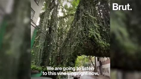 Sudhanshu Saxena On Linkedin Techinnovation Technology Plants