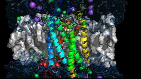 Pymol Software Announcement