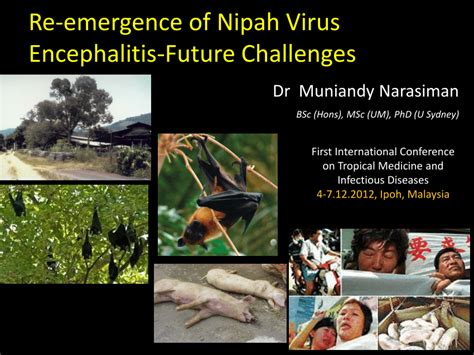 Pdf Reemergence Of Nipah Virus Encephalitis Future Challenges