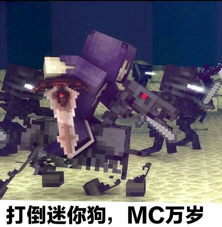 停工通知 我的世界破碎电影 话本小说网