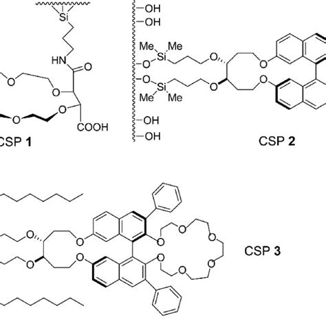 Structures Of Csp1 Csp 2 And Csp 3 Download Scientific Diagram