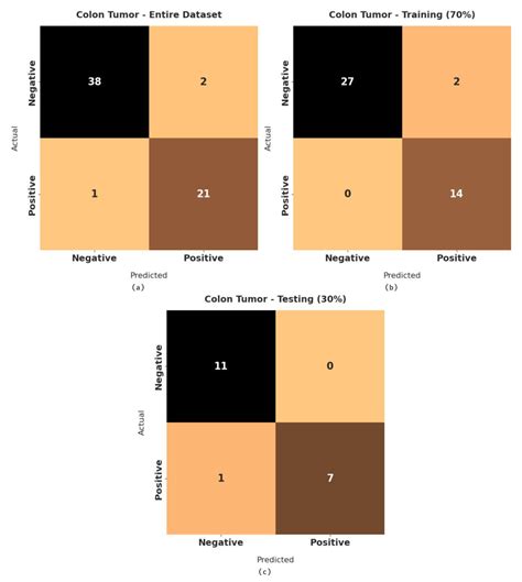 Red Fox Optimizer With Data Science Enabled Microarray Gene Expression Classification Model