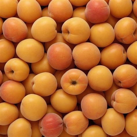 Download Ai Generated Apricot Fruit Royalty Free Stock Illustration