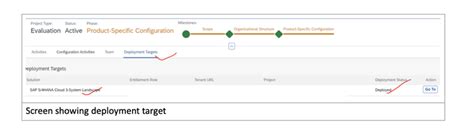 Configure Sap Public Cloud With Central Business Configuration