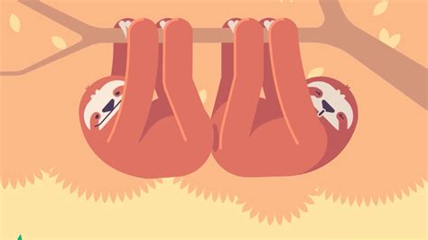 Make Porn Save Pandas Stash Magazine Motion Design Stash