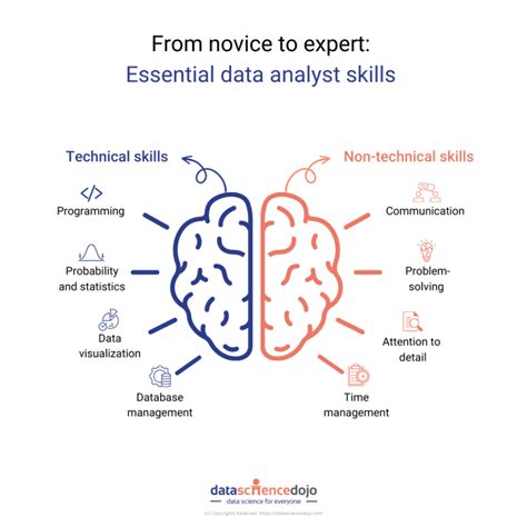 Data Analyst Journey Novice To Expert Master Key Skills Data