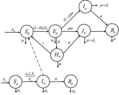 Schematic Illustration Of The Model Download Scientific Diagram