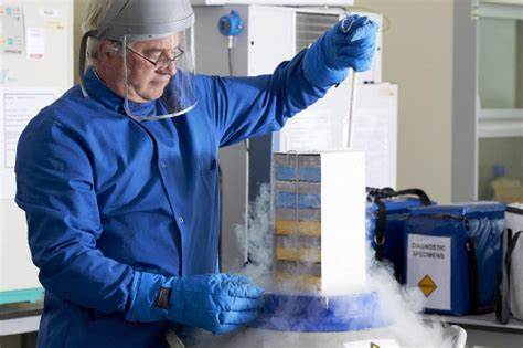 Frozen Tissues Biosamples For Research University Of Bradford