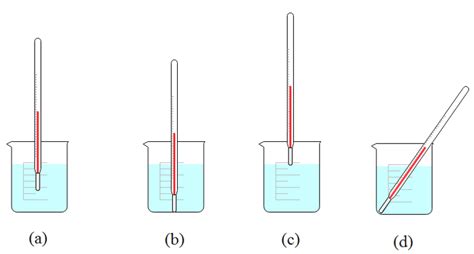 Use Of Laboratory Thermometer Atelier Yuwa Ciao Jp