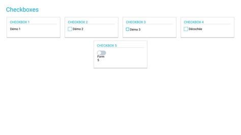 Input Checkbox Label And Css