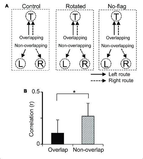 Representation Of The Overlapping And Non Overlapping Path Segments