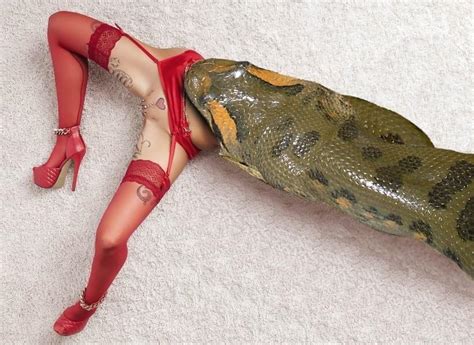 Lady In Red R SnakeVoreErotic
