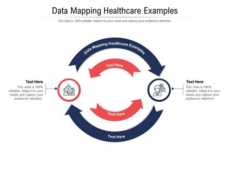 Data Mapping Healthcare Examples Ppt Powerpoint Presentation Infographic Template Gridlines Cpb