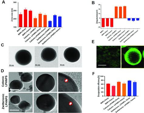 Physiochemical Characterization Of Cationic Or Zwitterionic Lipid Download Scientific Diagram