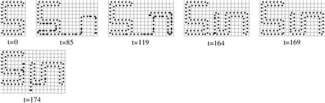 A Complete Self Reproduction Process Of An Initial Loop In The Shape Of Download Scientific
