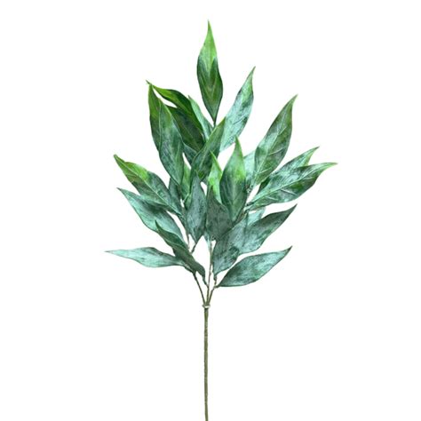 Frosted Green Lanceolate Leaf Spray Wyrth Home