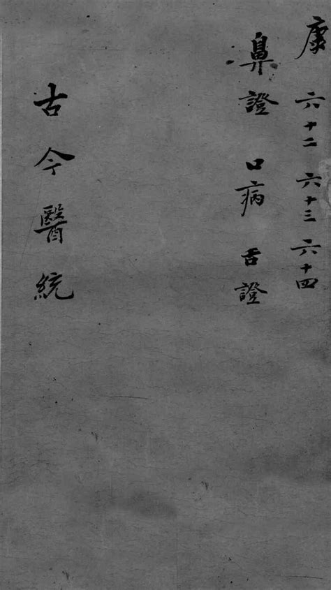 古今医统大全 62 64卷PDF电子书下载 新叶医学网