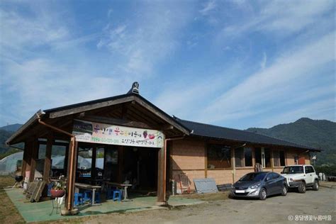 경기 양평군 양평 쉬자파크공원 등 가볼 만한 곳