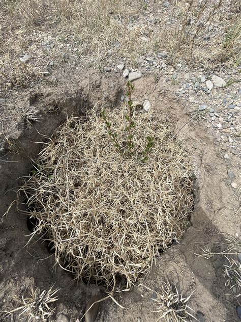 УЛААНБА Улаанбаатар Хотын Музей Ulaanbaatar City Museum