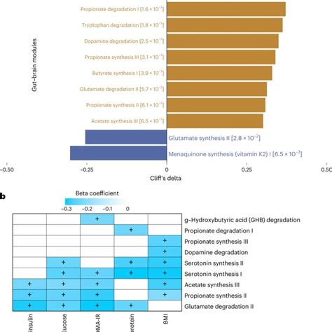 Predicted Functional Potentials Of The Bacterial Gut Microbiome In An Download Scientific