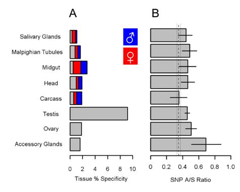 Tissue Specific Expression Patterns A Tissue Specific Transcription