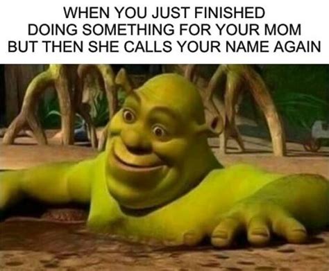 Shrek Memes That Everyones Talking About The Internets Favorite