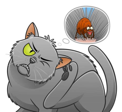 Best Flea Bite Illustrations Royalty Free Vector Graphics And Clip Art