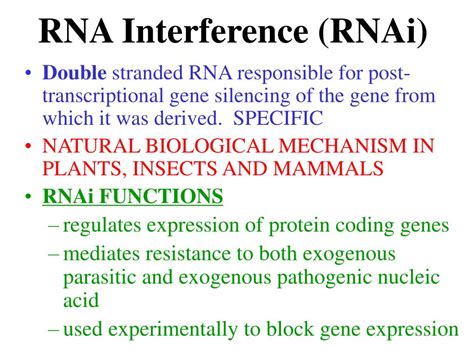 PPT RNA Interference PowerPoint Presentation Free Download ID