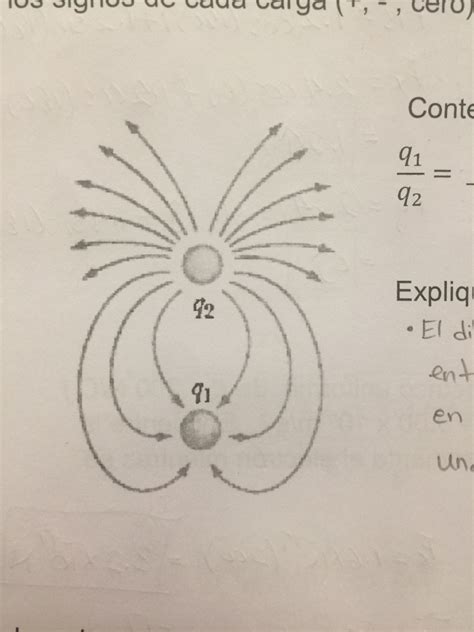 Solved The Figure Shows The Lines Of An Electric Field For