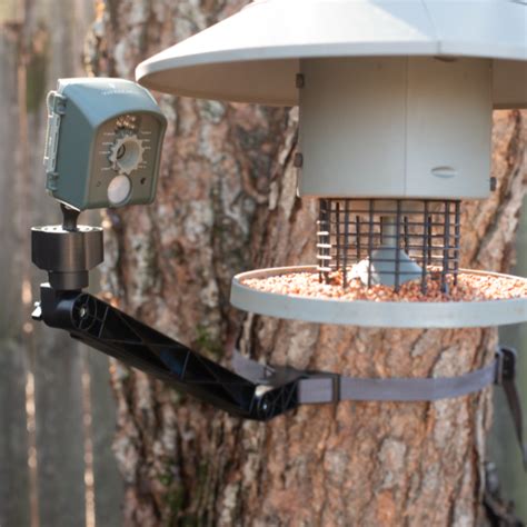 Wingscapes Birdcam Moultrie Feeders