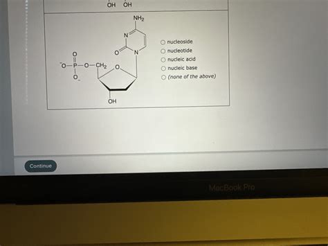 Solved Nucleoside Nucleotide Nucleic Acid Nucleic Base None