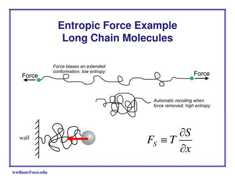 Ppt Entropy And The Thermodynamics Of A Single Particle Powerpoint