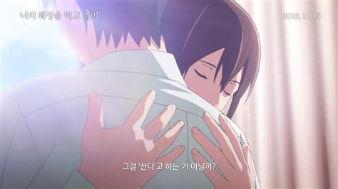 [너의 췌장을 먹고 싶어] 애니메이션 메인 예고편 Youtube