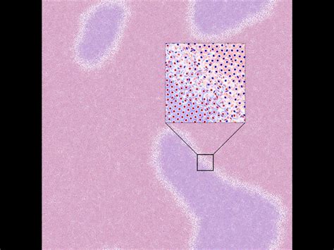 Evolution Of Active Vortex Crystal Superstructures Turbulenceteamms
