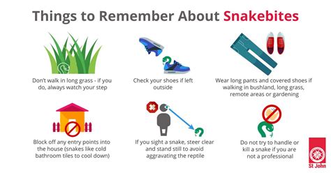 Snake Bite First Aid Tips St John Vic