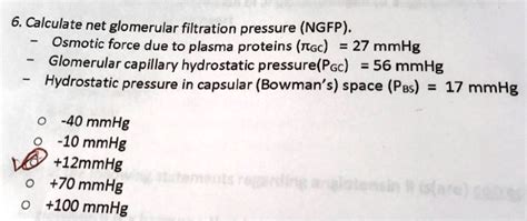 18 calculate net filtration pressure jemmasharon