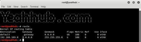 Linux System Reconnaissance Top Linux Commands Yeah Hub