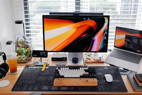Trackball Mouse Troubleshooting Common Issues Solved Improve Workspace