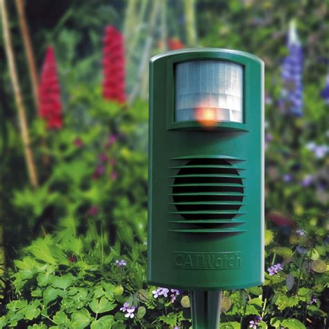 Cat Deterrent Rspb Approved Uk Gardening Naturally