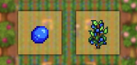 Stardew Valley Best Crops Shockbyte