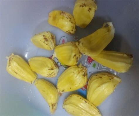 菠萝蜜坏果发霉图片 菠萝蜜图片 菠萝蜜树图片 大山谷图库