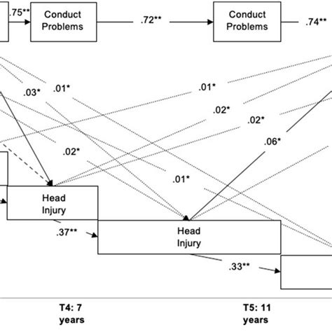 The Direct And Indirect Effects Within And Between Conduct Problems And