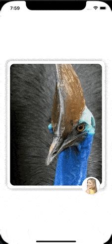 Github Recherst Kavsoft Swiftui Animations Swiftui Animation Tutorials All Of Demos Are